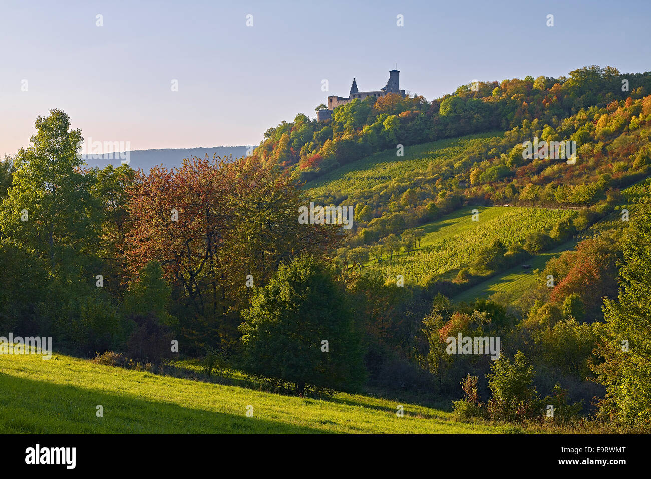 Trimburg castle hi-res stock photography and images - Alamy