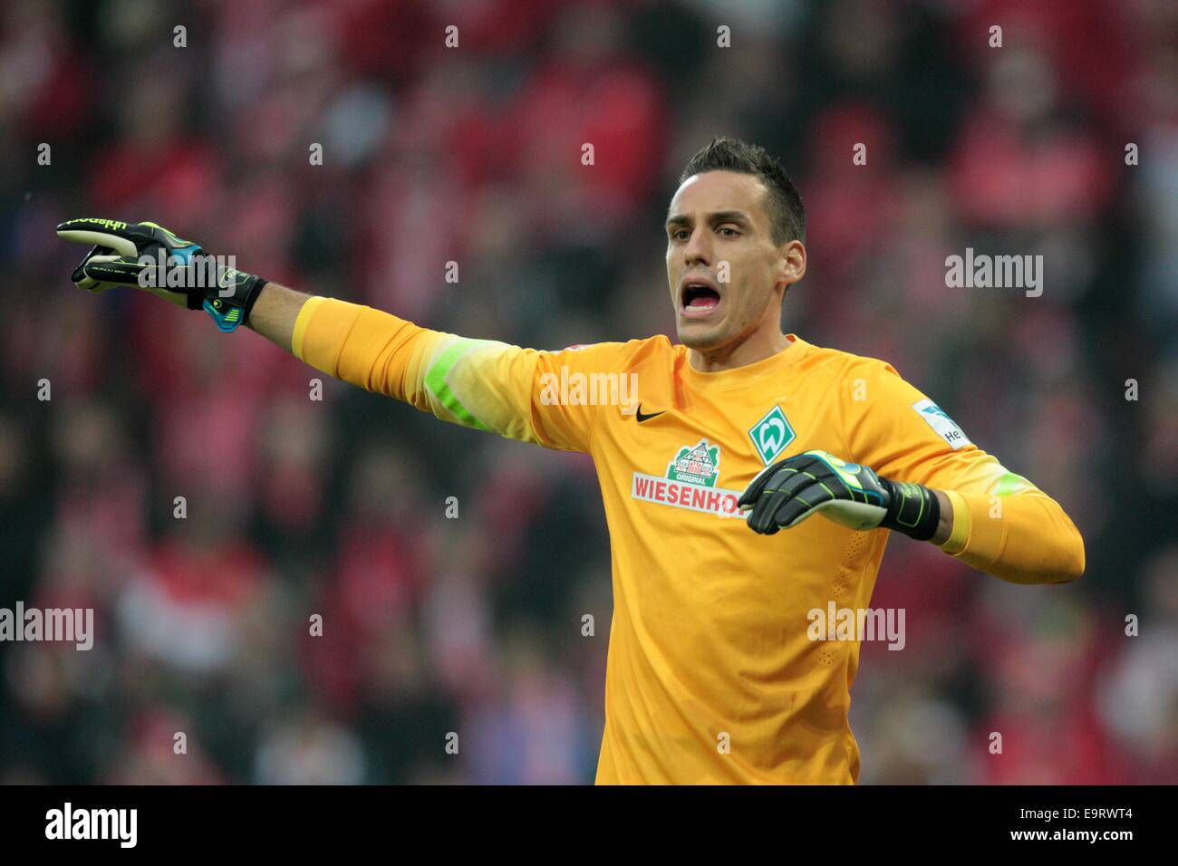 Raphael wolf hi-res stock photography and images - Alamy