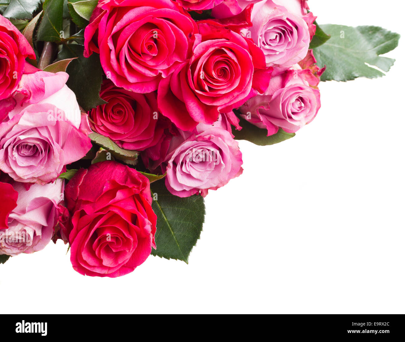 border of pink flowers Stock Photo - Alamy