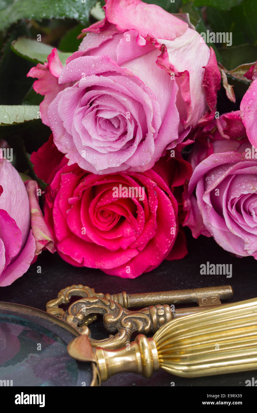 Key with pink roses Stock Photo - Alamy