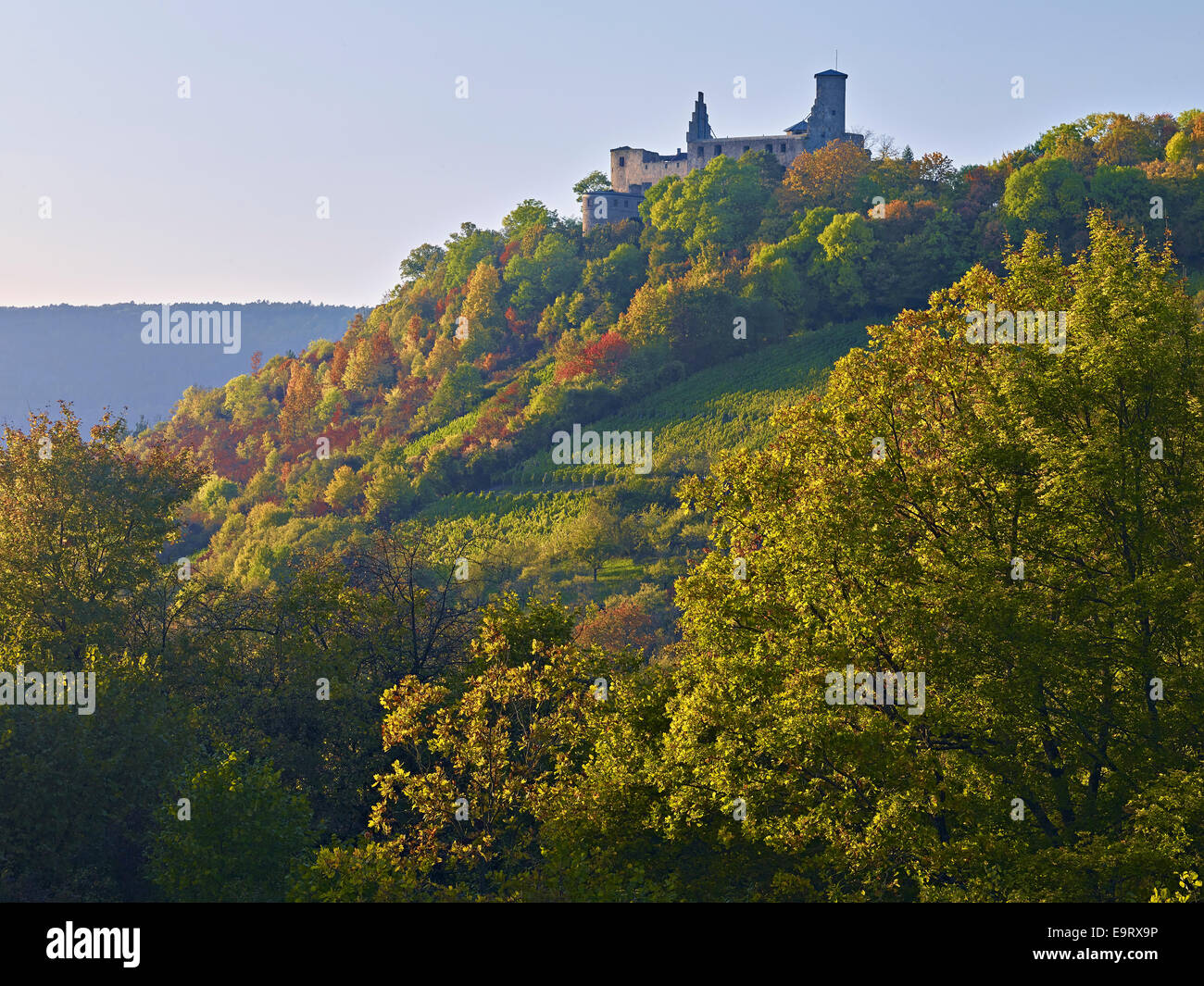 Trimburg castle hi-res stock photography and images - Alamy
