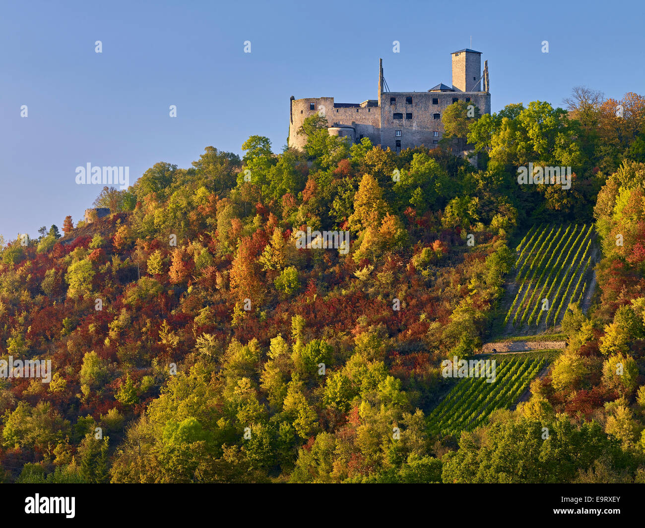 Trimburg castle hi-res stock photography and images - Alamy