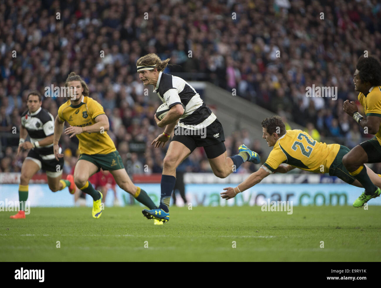 Australian barbarians rugby hi-res stock photography and images - Alamy