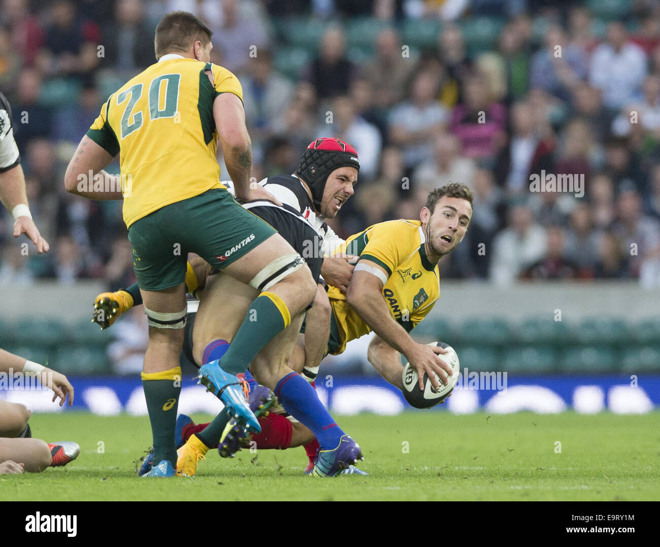 Nic white australia hi-res stock photography and images - Alamy