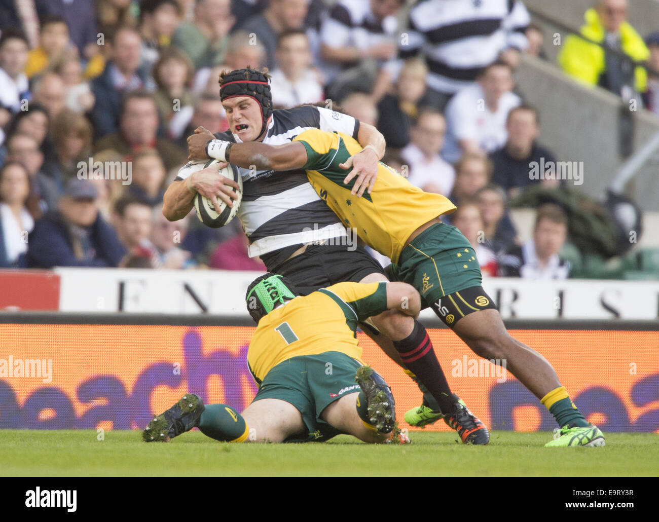Benn Robinson High Resolution Stock Photography and Images - Alamy