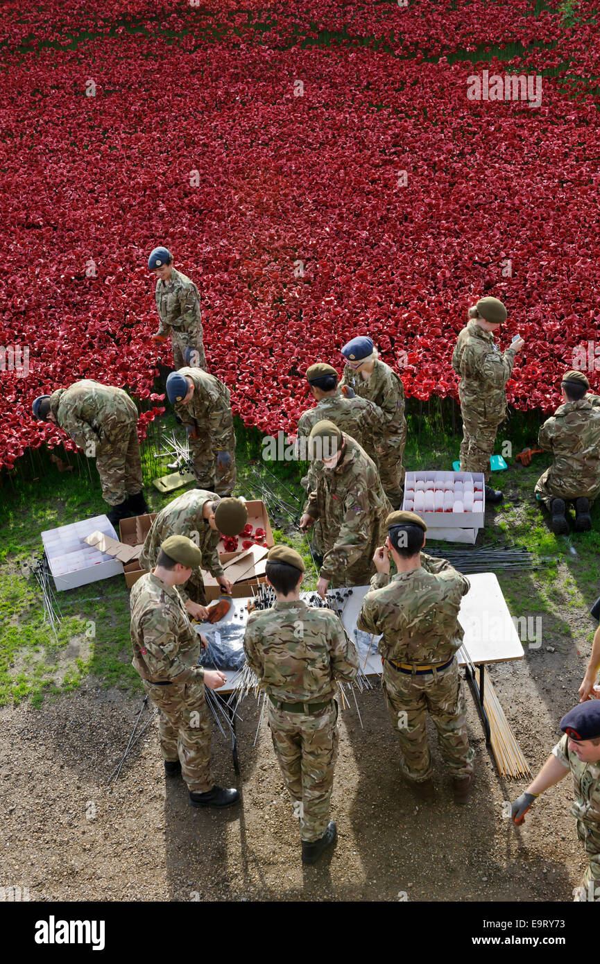 Army Personnel preparing and planting ceramic poppies in the moat of ...