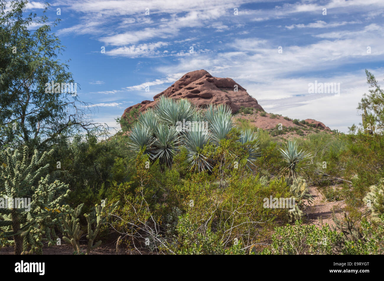 Harsh weather conditions hi-res stock photography and images - Alamy