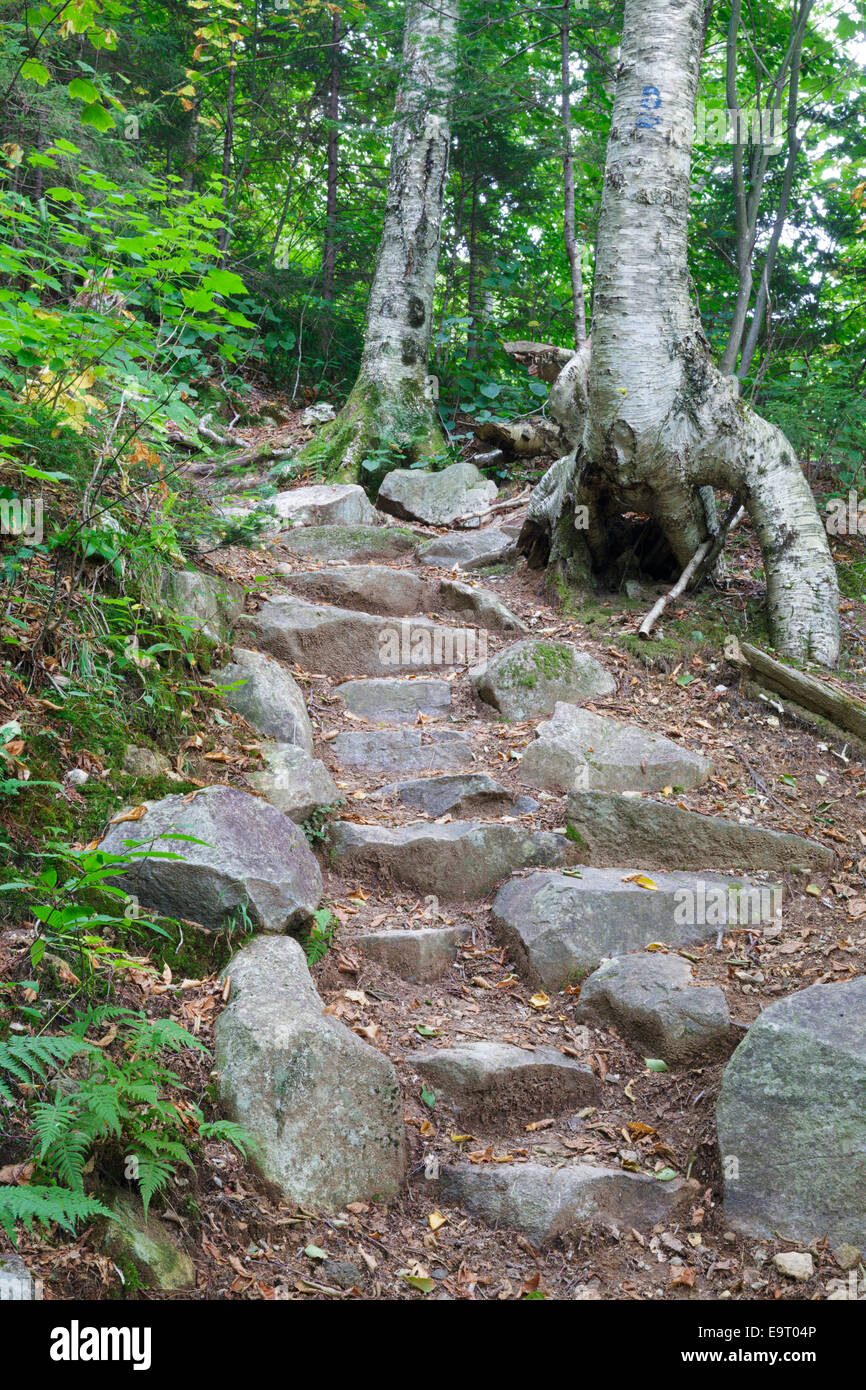 Rock steps along Greenleaf Trail in the White Mountains of New ...