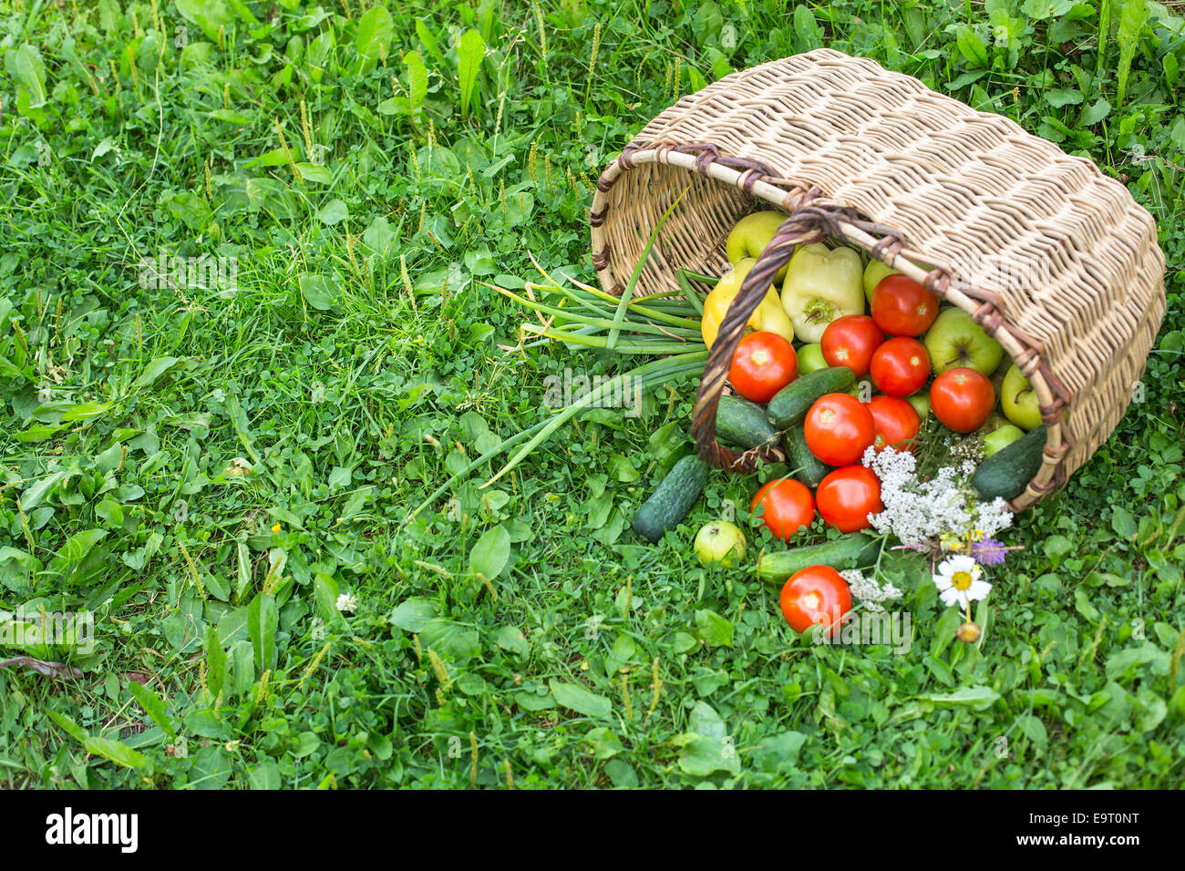 Basket with vegetables spilling on the ground Stock Photo - Alamy