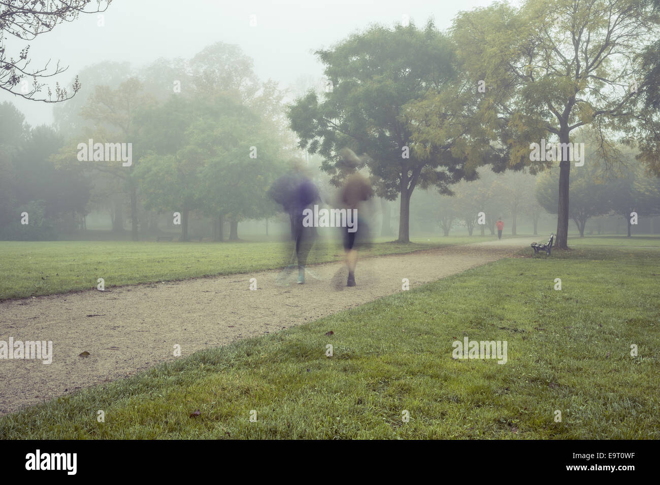 Morning workout exercise park hi-res stock photography and images - Alamy