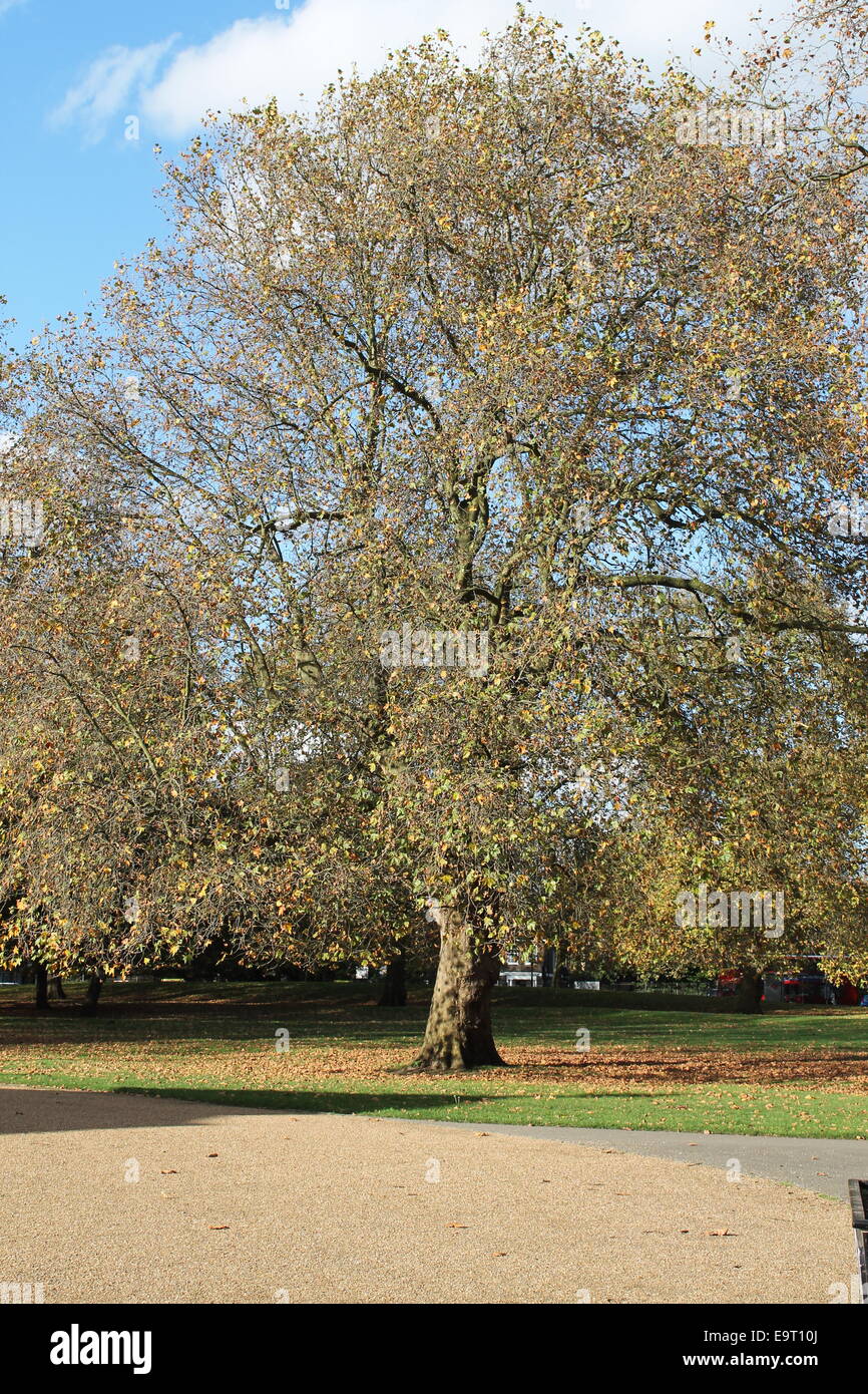 Southwark park se16 hi-res stock photography and images - Alamy