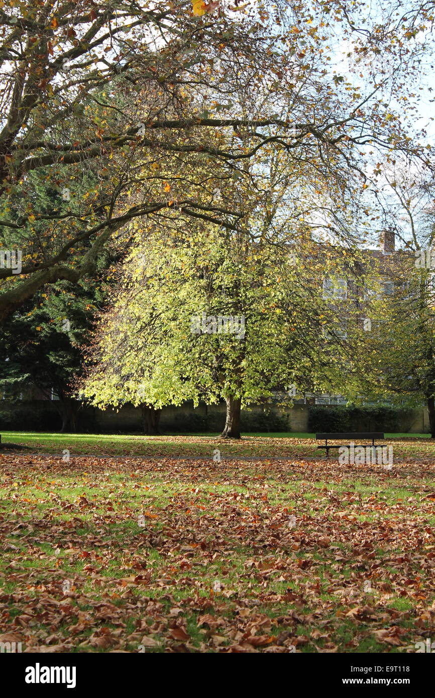 Southwark park london hi-res stock photography and images - Alamy