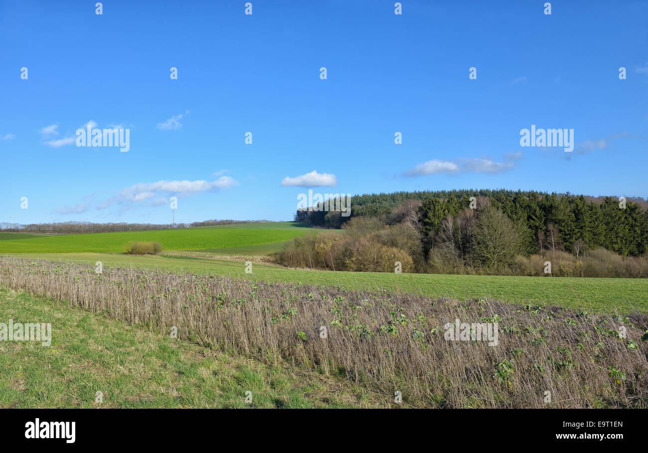 Landscape in Walloon, province Liege in Belgium in a calm winter day ...