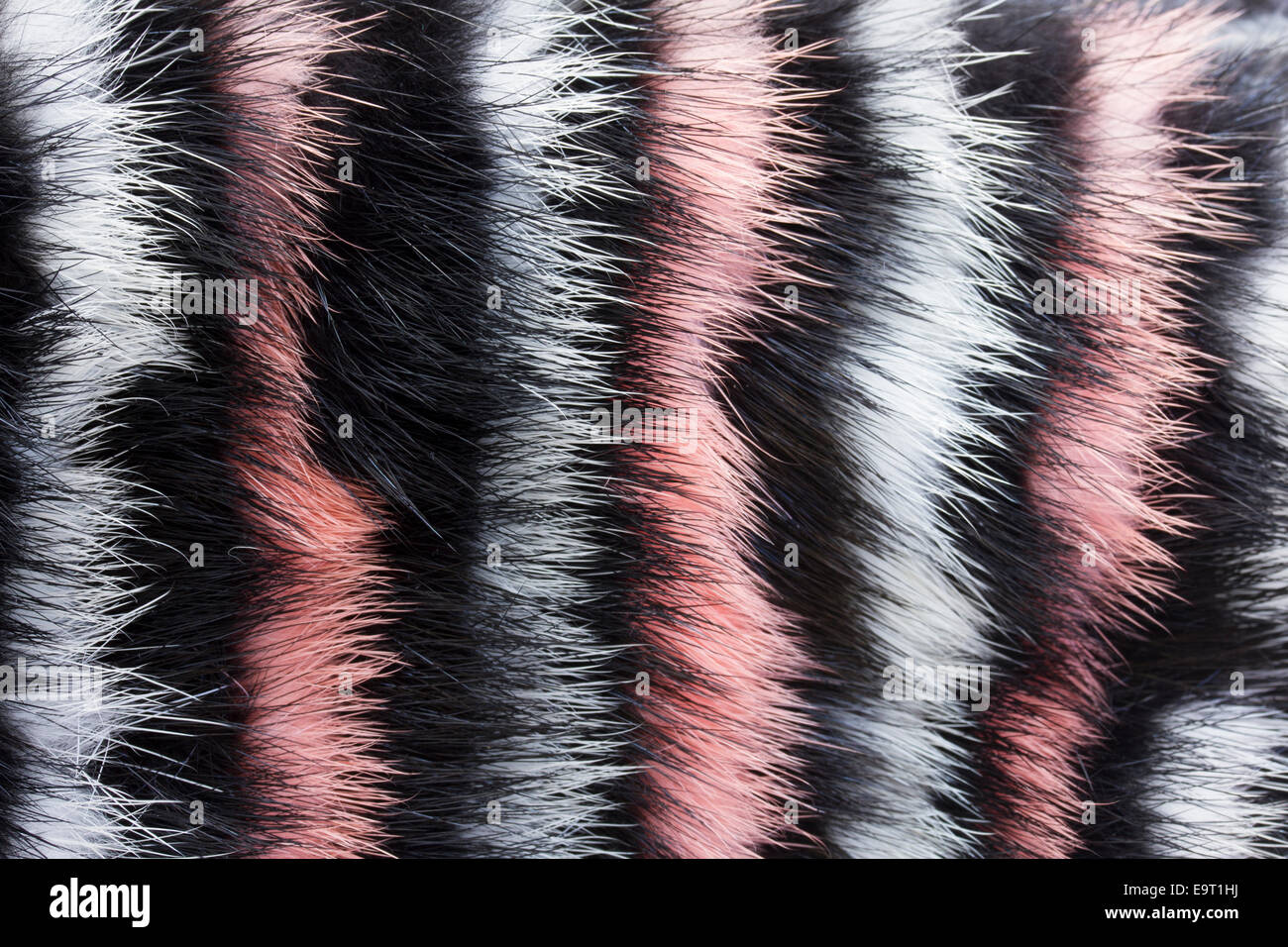 Mink fur stripes hi-res stock photography and images - Alamy