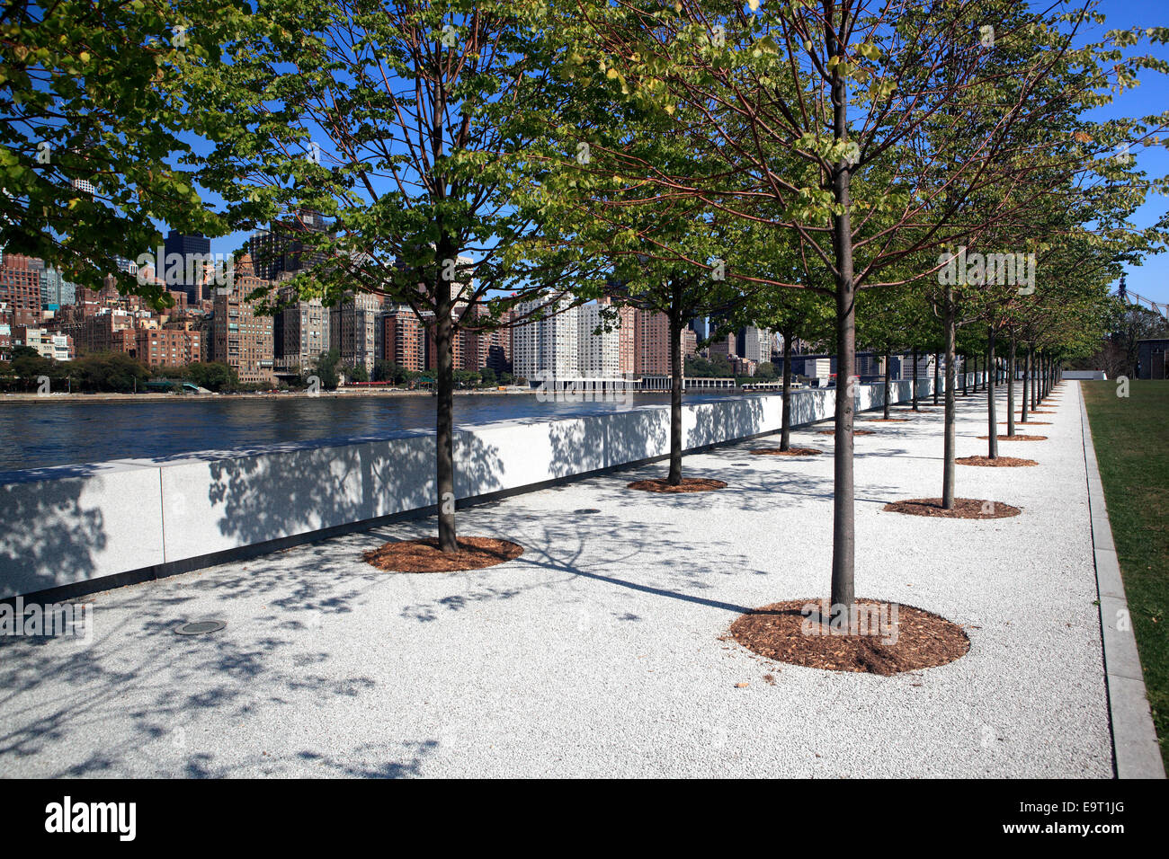 Roosevelt island trees hi-res stock photography and images - Alamy