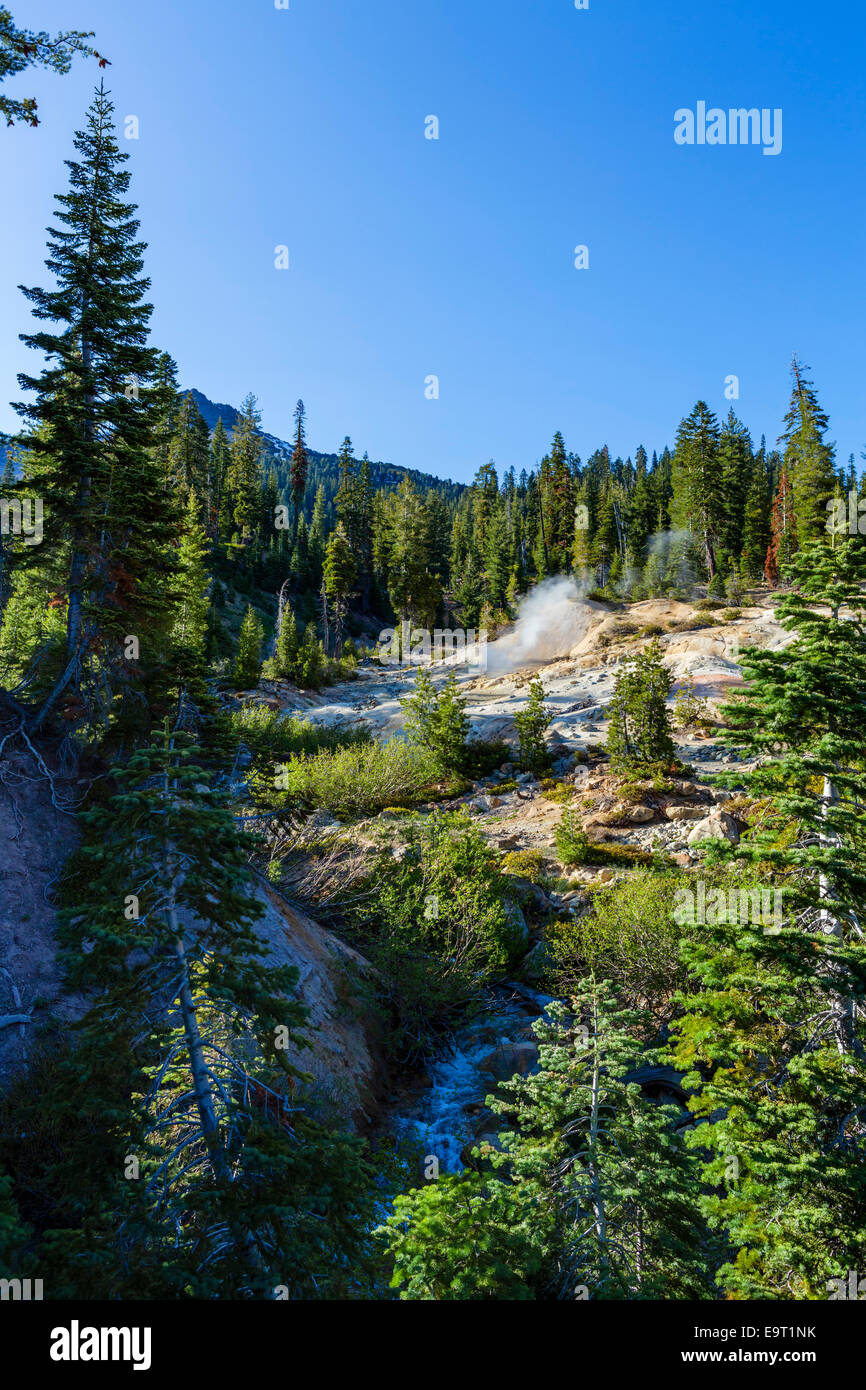 Hot springs and fumaroles at the Sulphur Works geothermal area, Lassen ...