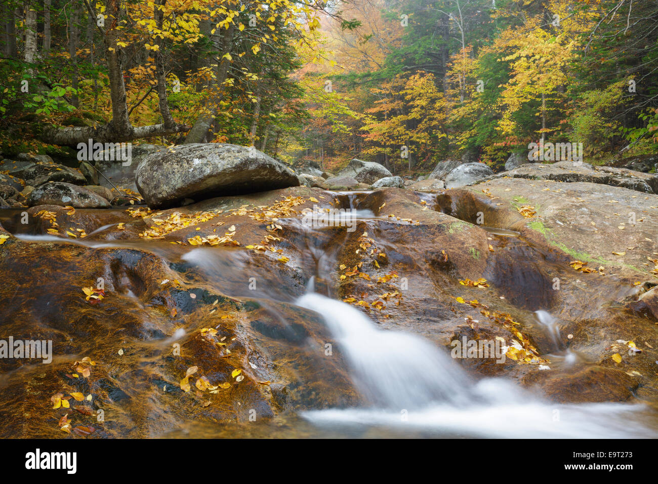 Peabody River in Pinkham Notch of the White Mountains, New Hampshire ...