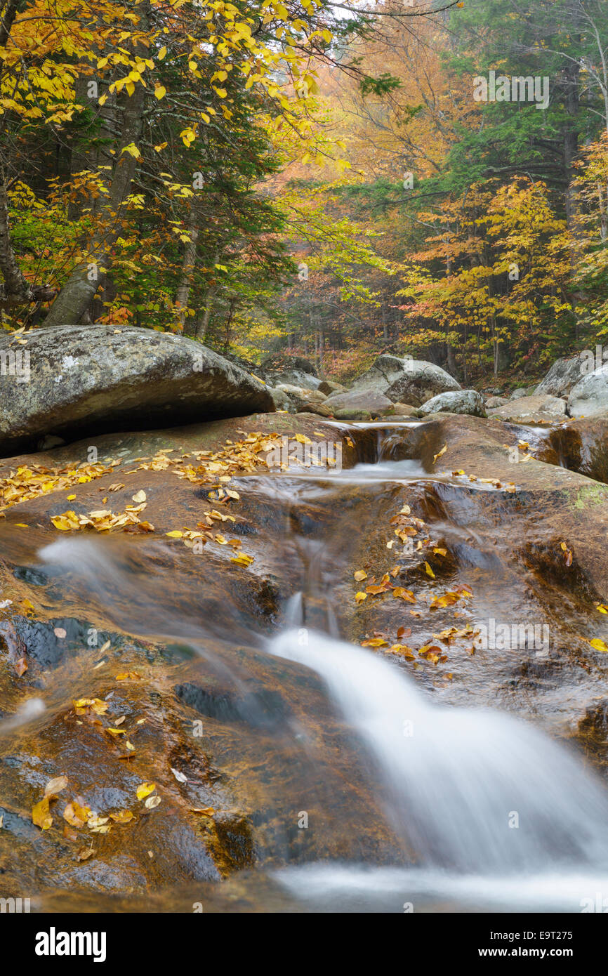 Peabody River in Pinkham Notch of the White Mountains, New Hampshire ...