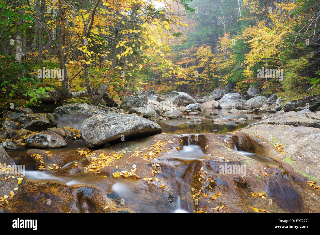 Peabody River in Pinkham Notch of the White Mountains, New Hampshire ...