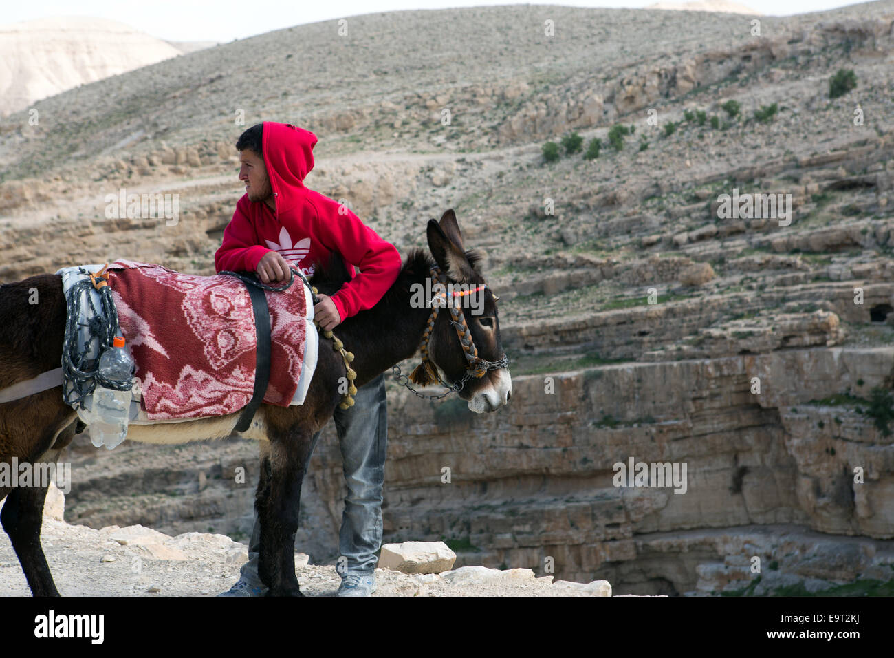 A mule and a boy in desert mountains in spring Stock Photo - Alamy