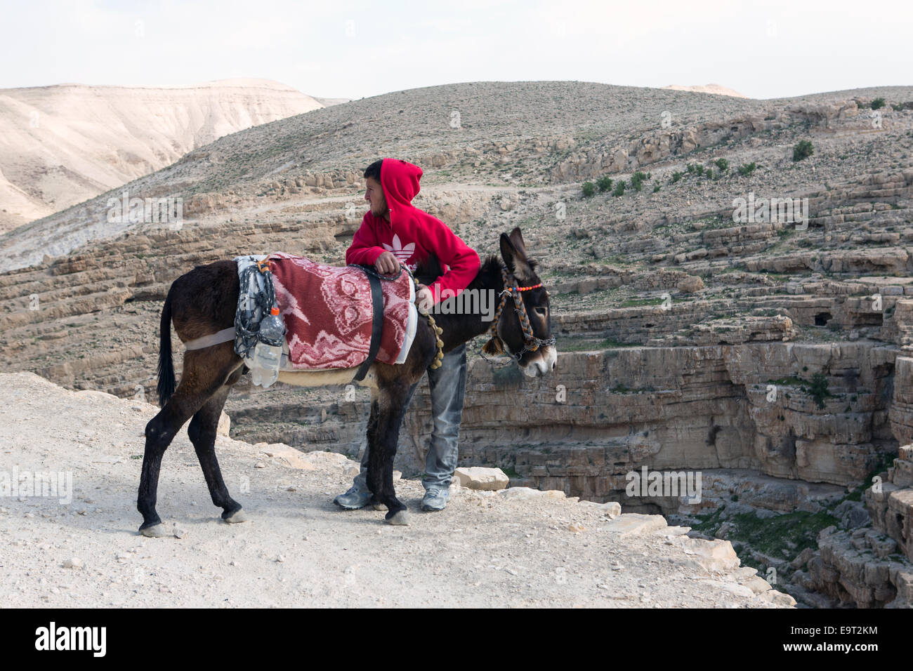 A mule and a boy in desert mountains in spring Stock Photo - Alamy