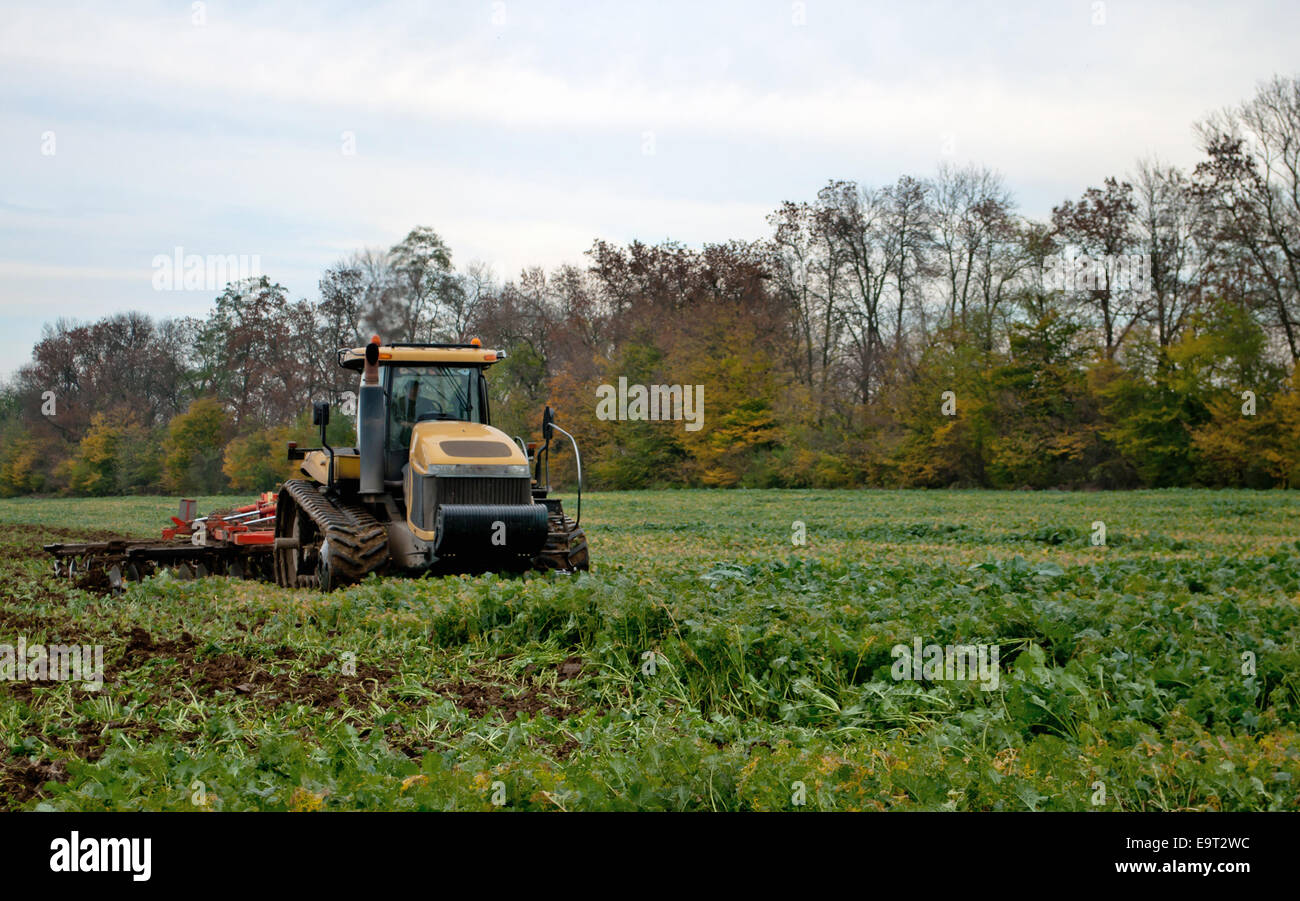 rural landscape with the tractor cultivating the land and the forest on ...