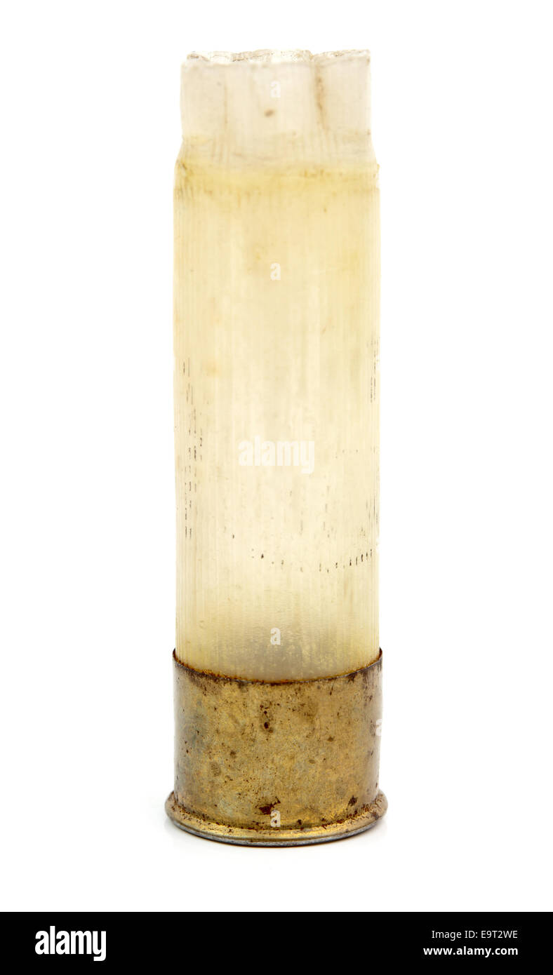 16 inch shell Cut Out Stock Images & Pictures - Alamy