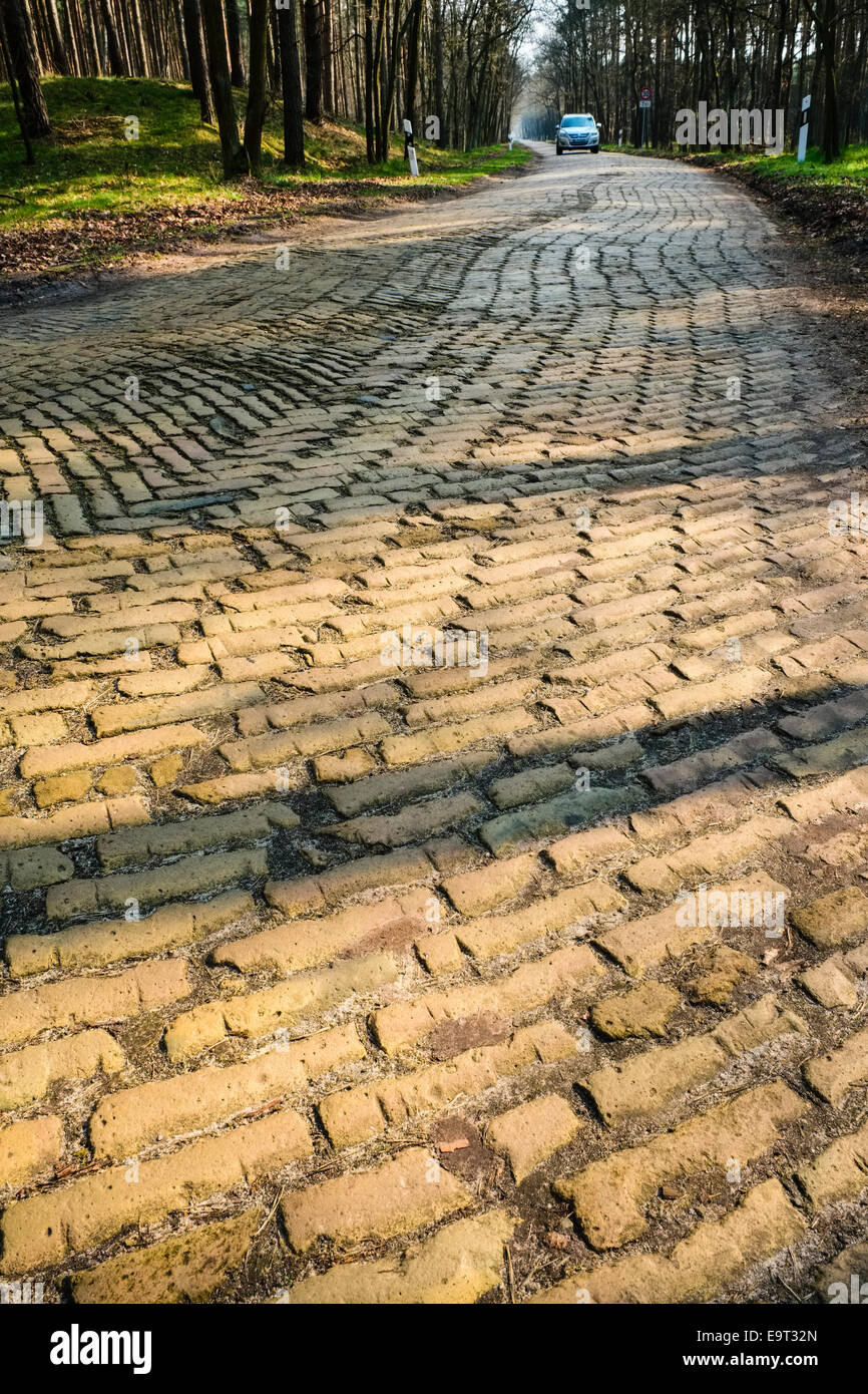 Road with brick pavement between Riewend und Klein Behnitz, Brandenburg ...