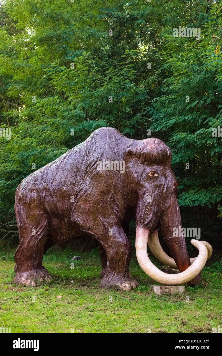 Joachimsthal hi-res stock photography and images - Alamy
