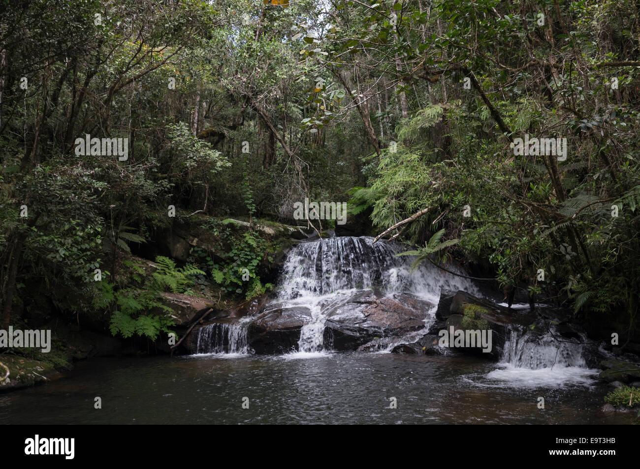 The sacred waterfall near Mantadia Madagascar Stock Photo - Alamy