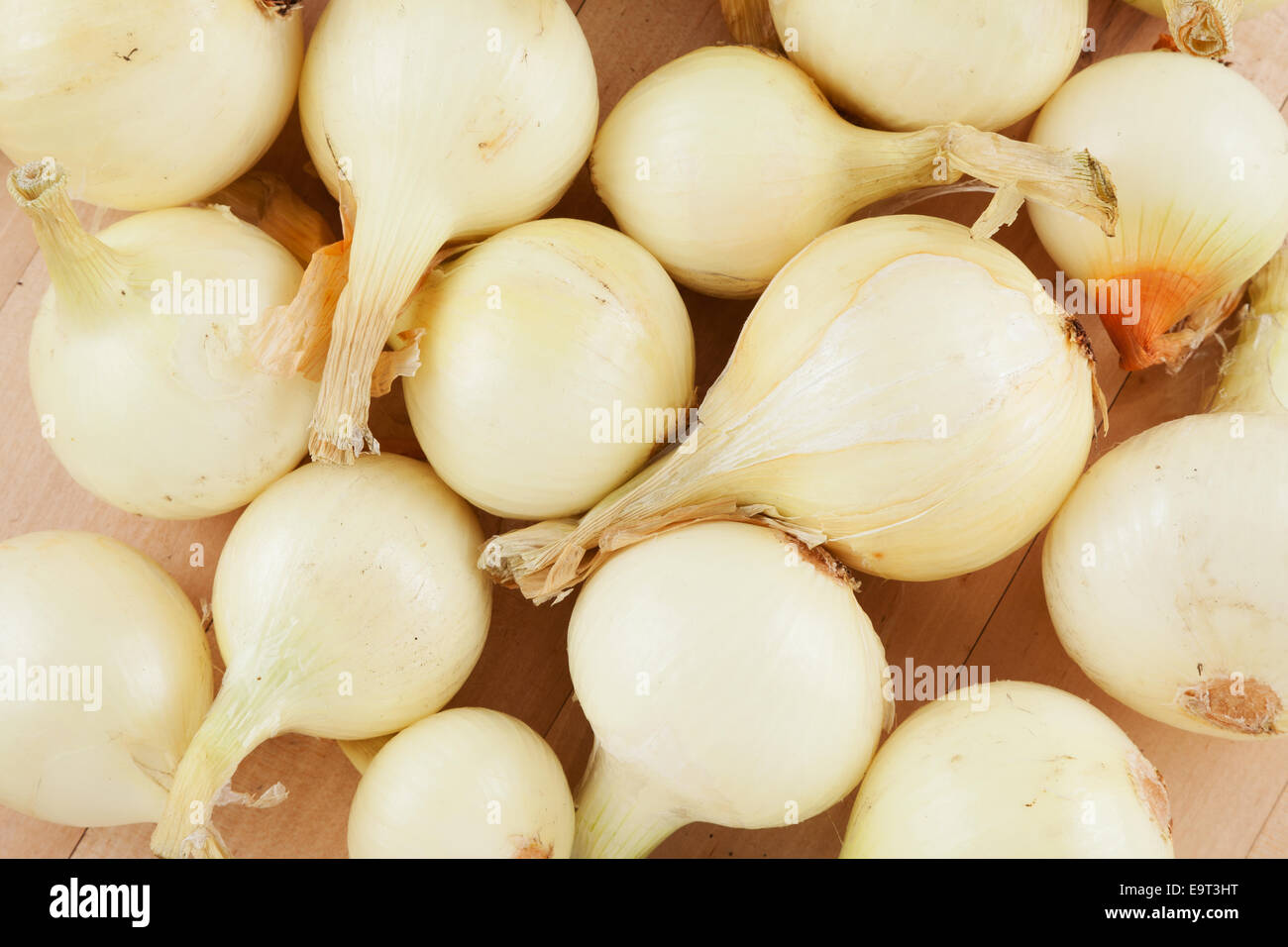 Onions, top view Stock Photo - Alamy