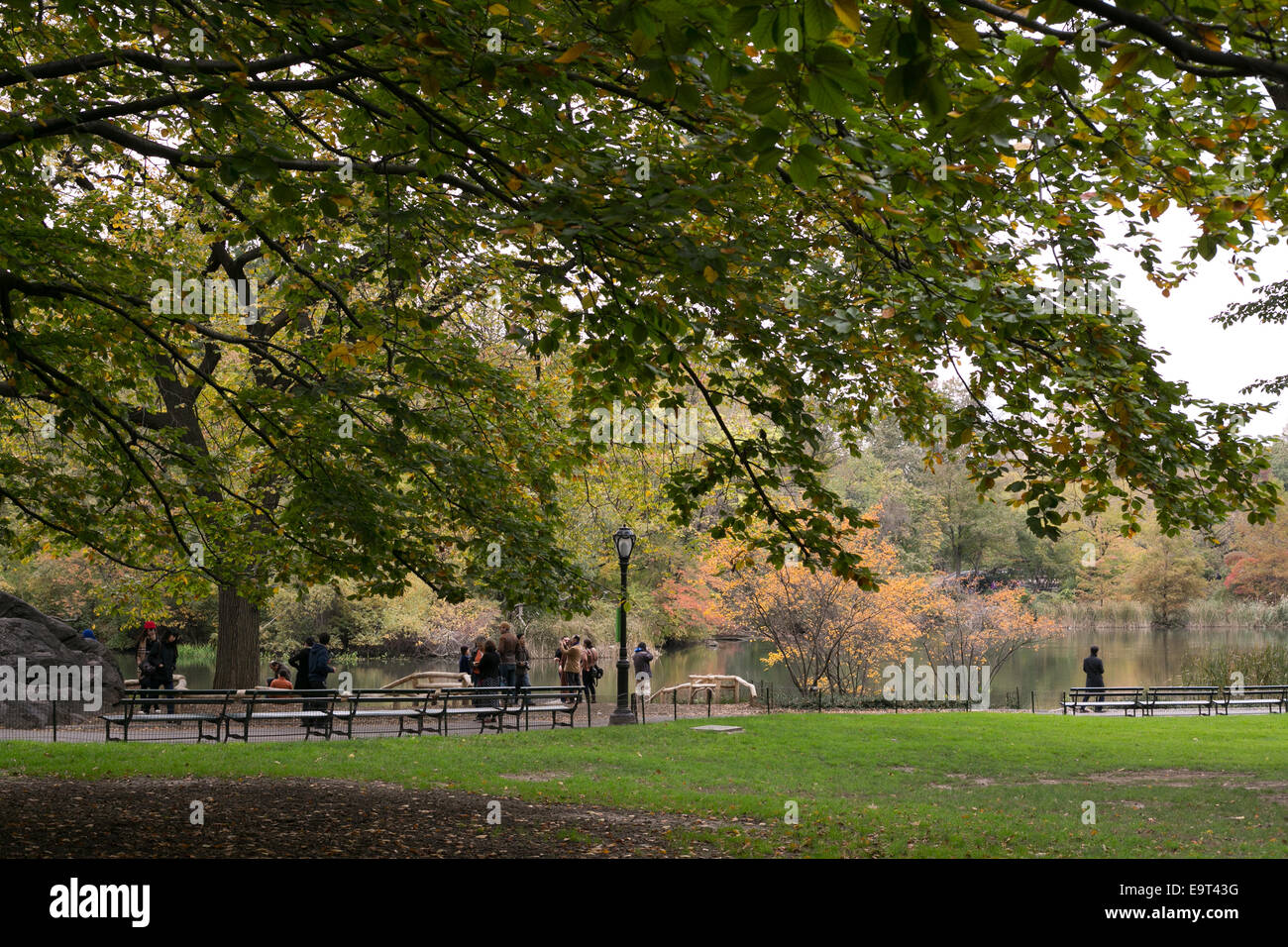 People enjoying Central Park in the fall Stock Photo - Alamy