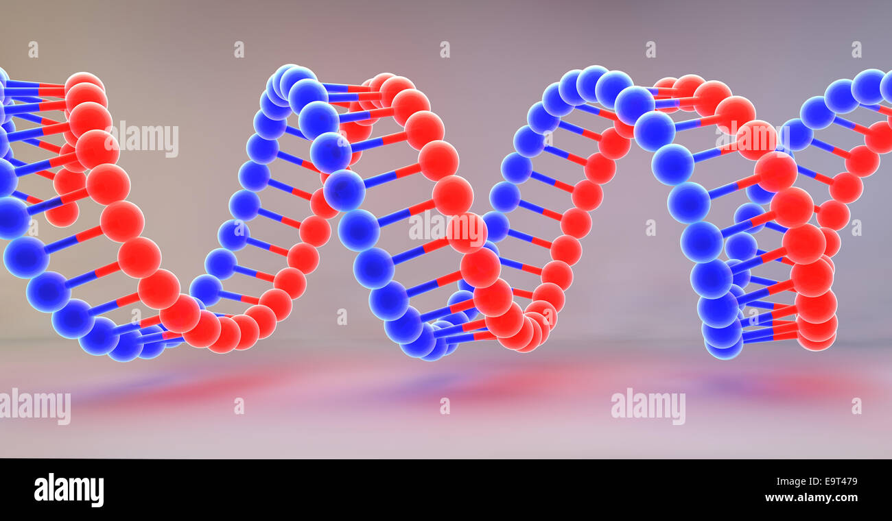 Stranded DNA molecules Stock Photo - Alamy