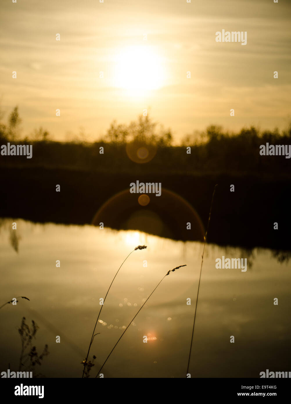 Little breeze hi-res stock photography and images - Alamy