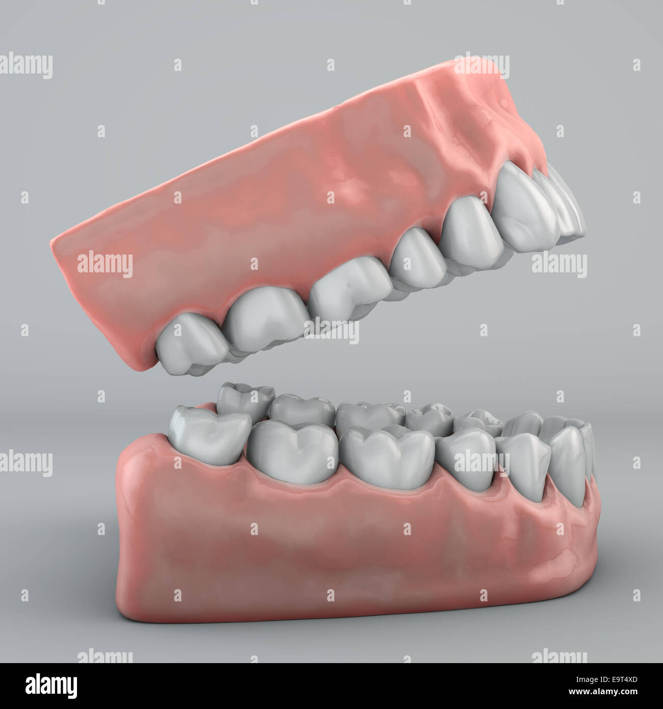 Illustration of denture on a grey background Stock Photo - Alamy