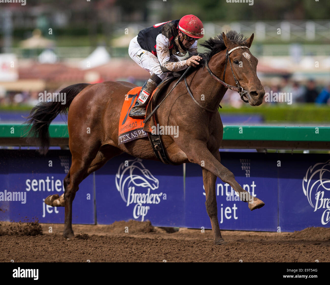 Kent desormeaux hi-res stock photography and images - Alamy
