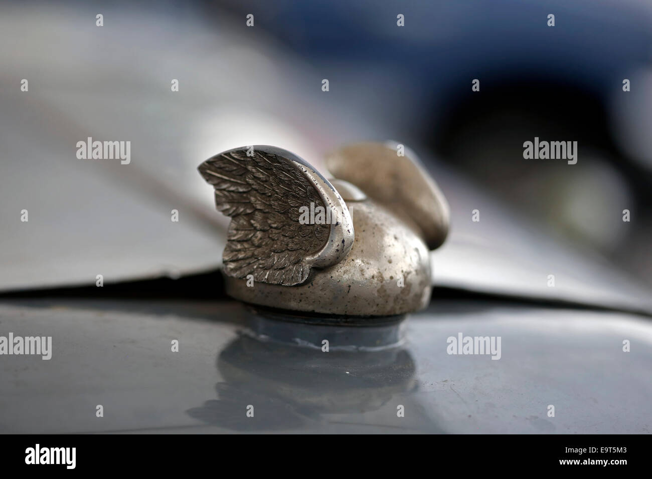 Winged radiator cap hi-res stock photography and images - Alamy