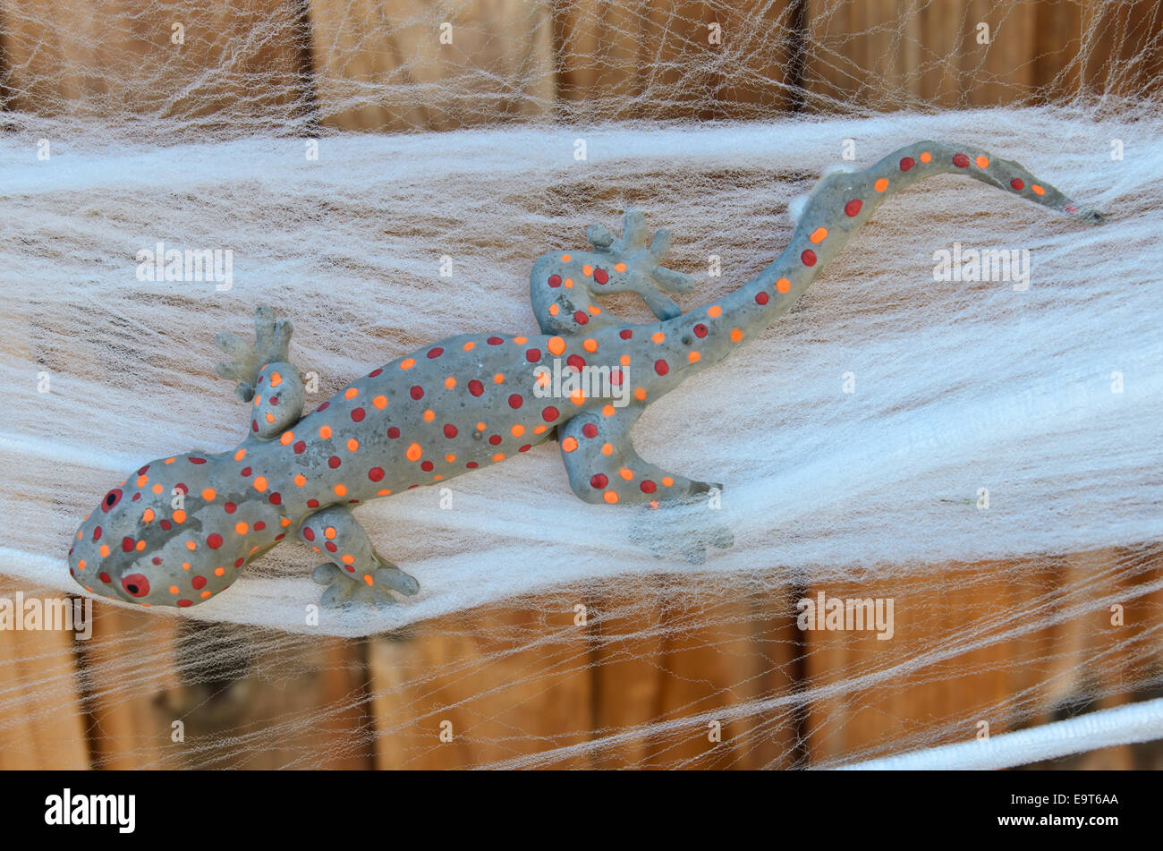 Fake spider web outdoor hi-res stock photography and images - Alamy