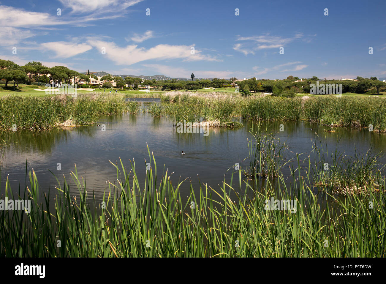 The lake next to the golf course, at Quinta de Lago, Ria Formosa Nature ...