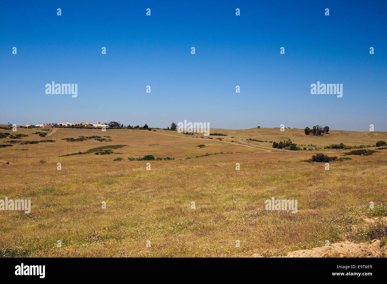 Extensive area hi-res stock photography and images - Alamy
