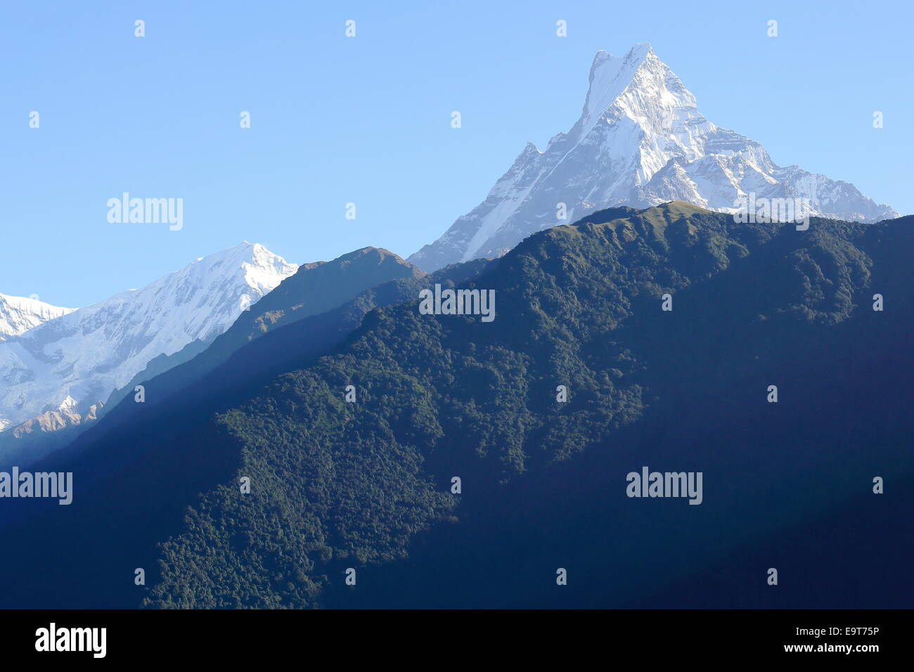 The 6993 ms.high mount Machhapuchhare-Machapuchare-Fish Tail seen from ...