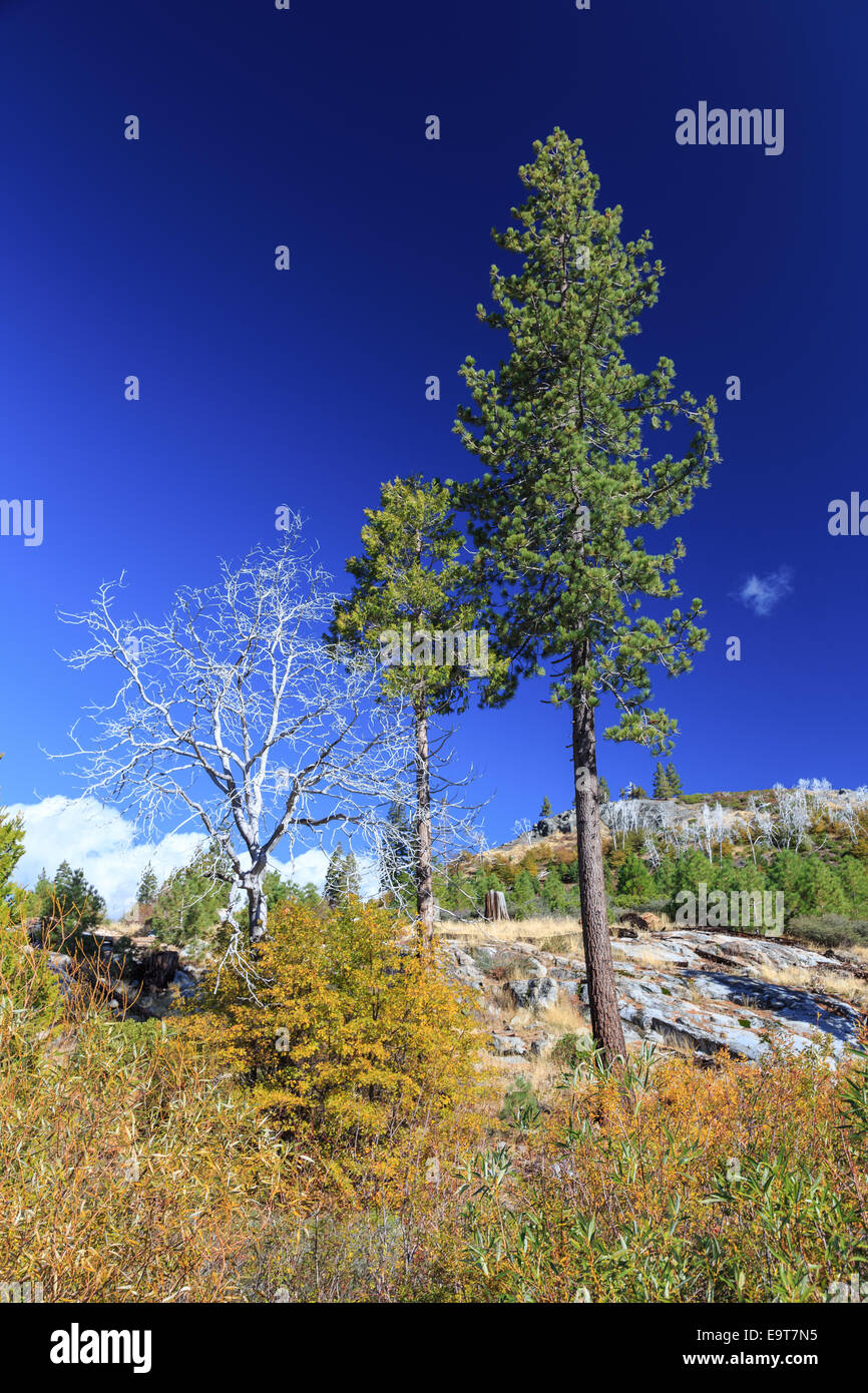 California plateau hi-res stock photography and images - Alamy