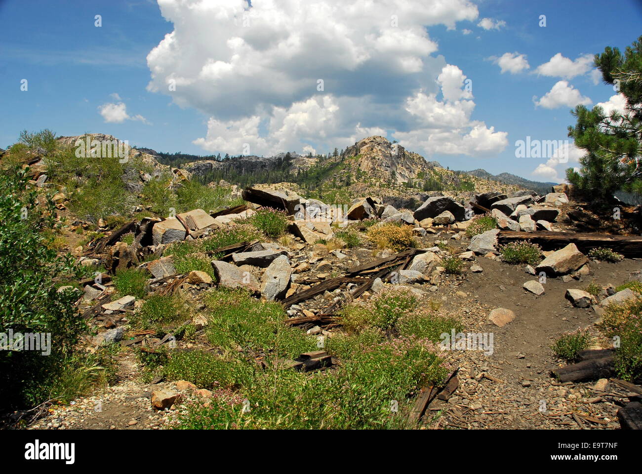 Burnt out railroad snowshed debris on Donner Pass in Sierra Nevada ...