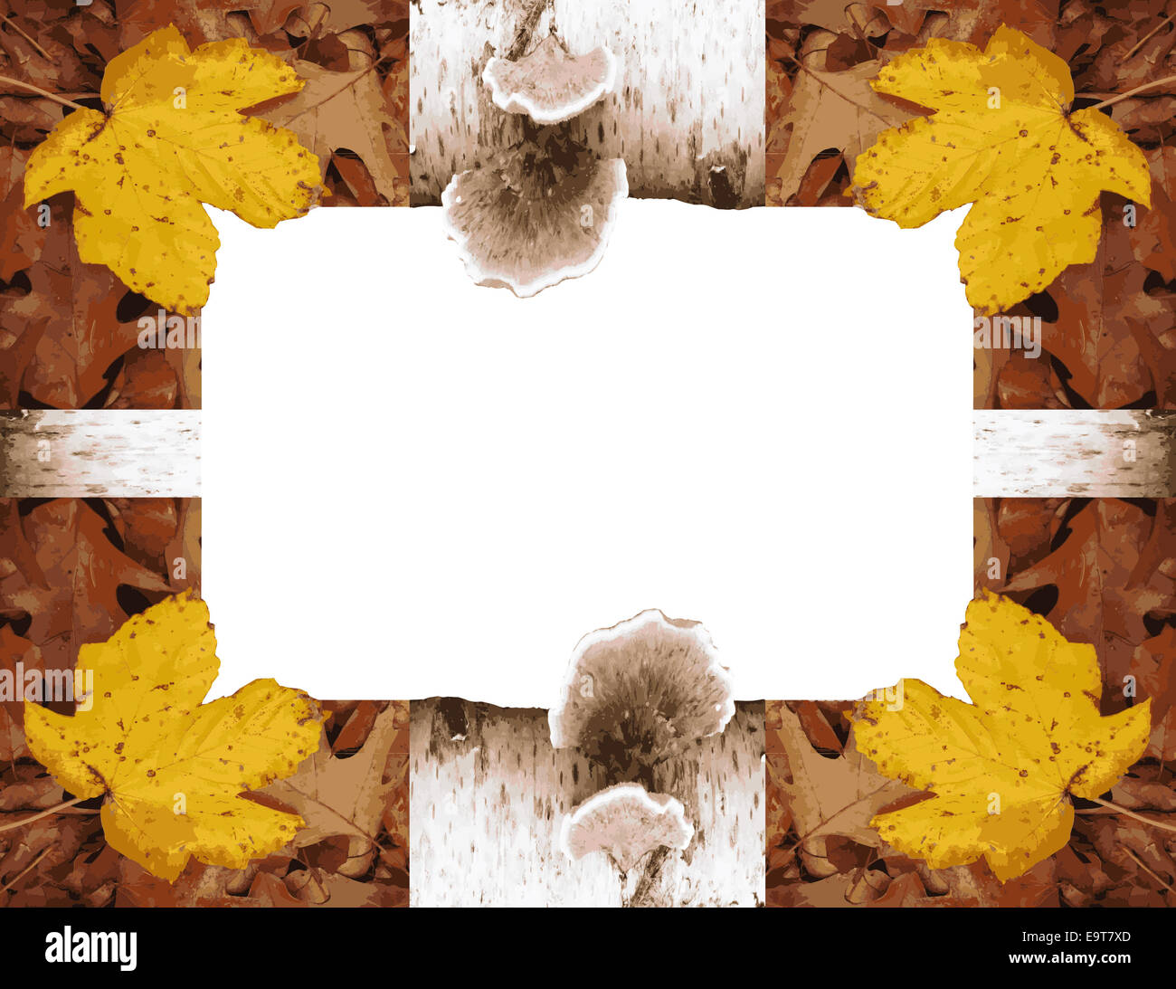 Autumn nature frame for greeting card or photo frame Stock Photo - Alamy