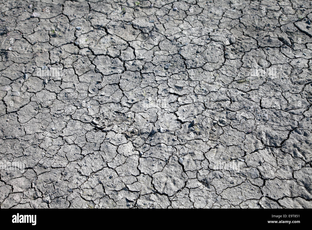 Cracked earth texture Stock Photo - Alamy