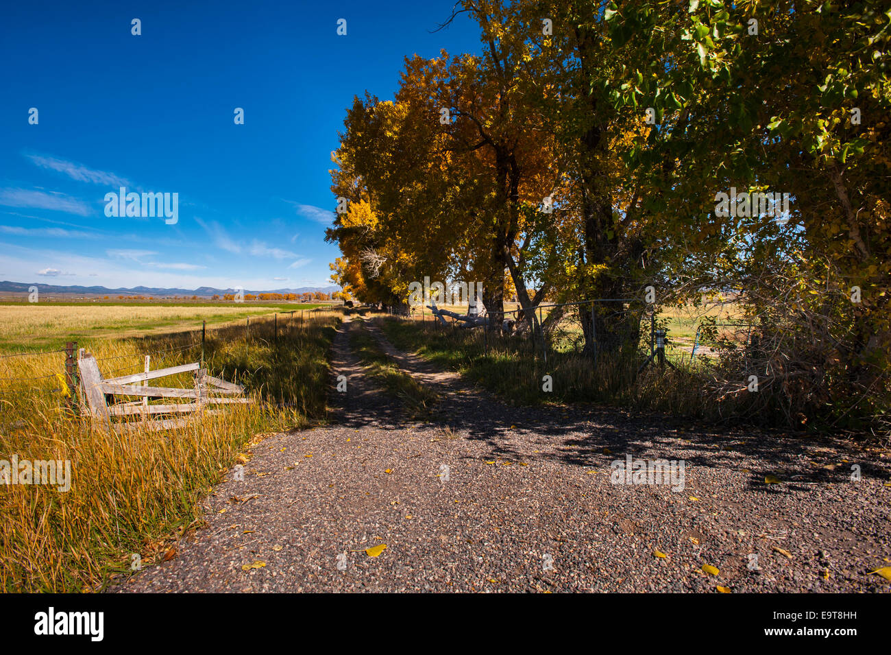 Driveway fence hi-res stock photography and images - Alamy