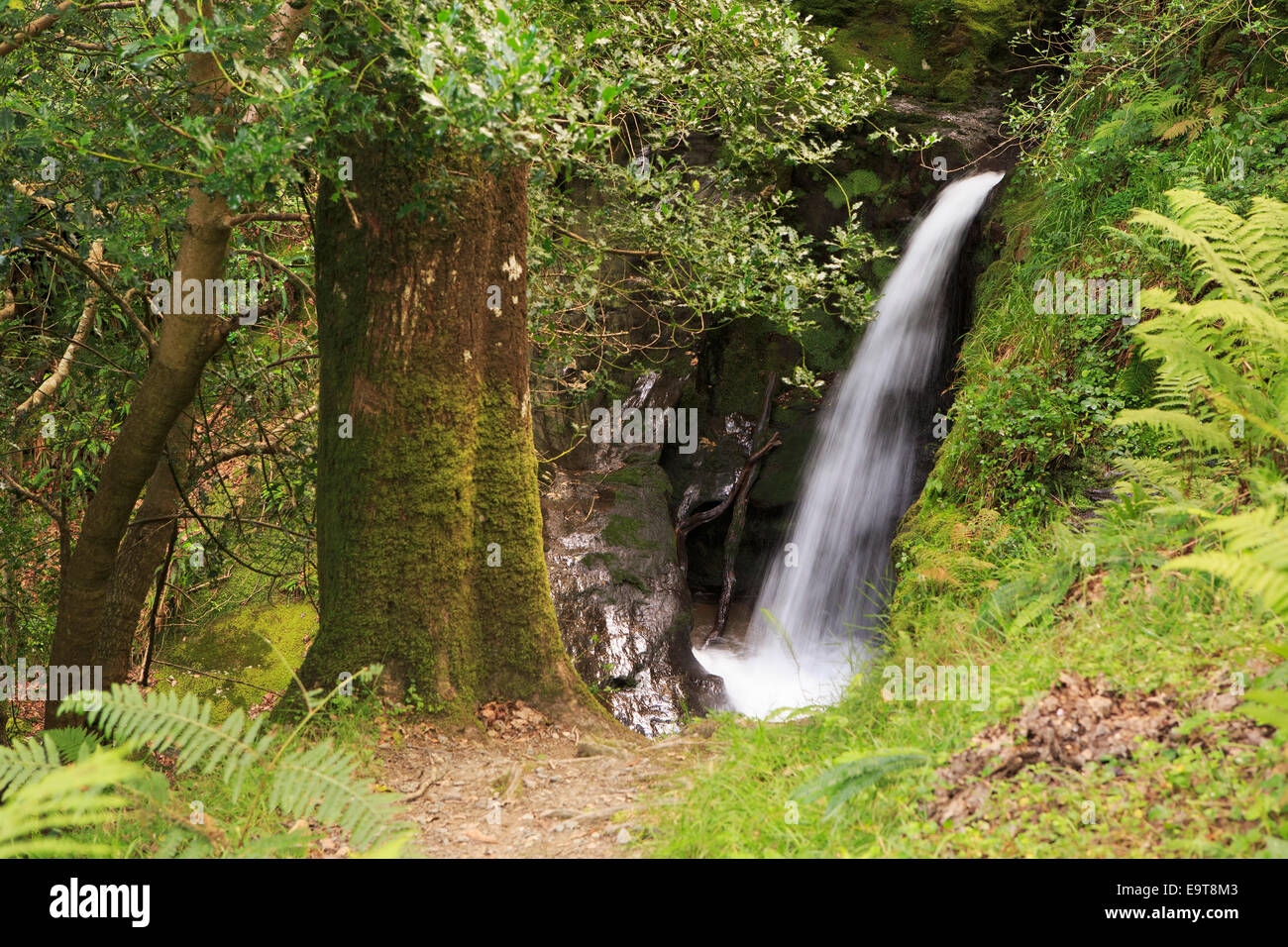 Beautiful waterfall in Wicklow Stock Photo - Alamy