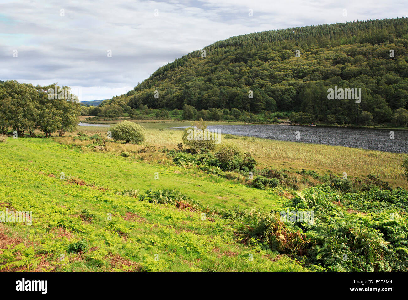 Lough Dan in Wicklow Mountains National Park Stock Photo - Alamy