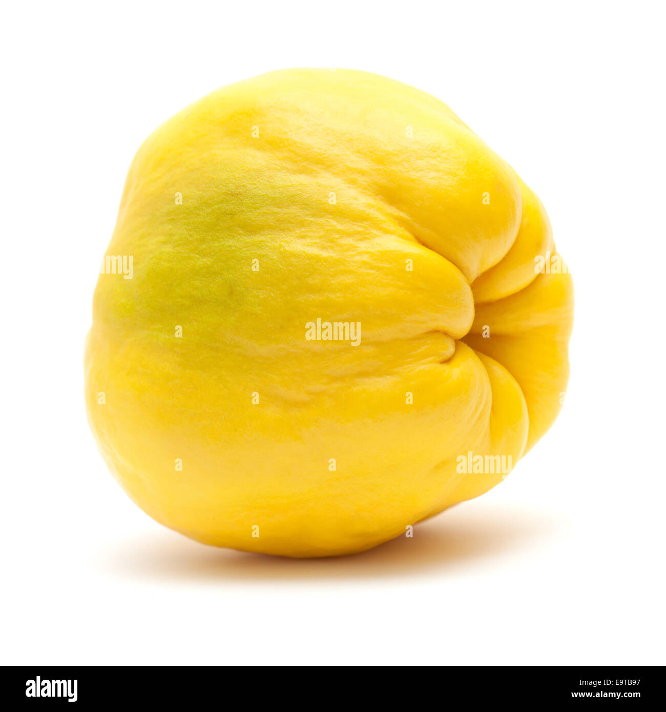 yellow quince fruit isolated on white background Stock Photo - Alamy