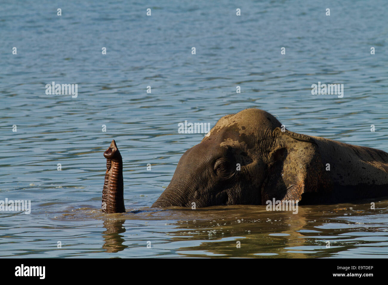 Sub merged hi-res stock photography and images - Alamy